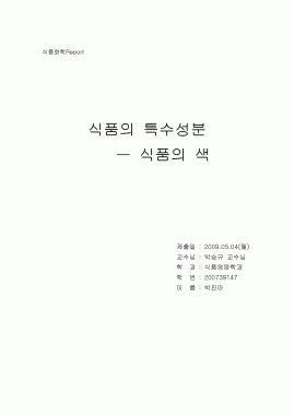 식품의 색 레포트 자료-1페이지