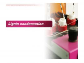 Kraft pulping에서 증해액과 리그닌과의 반응 condensation(축합반응)-1페이지