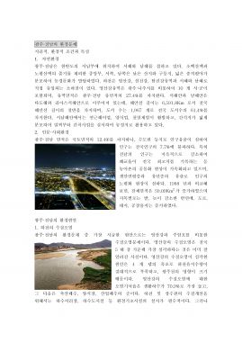 광주.전남의 환경문제(光州.全南の環境問題)-1페이지