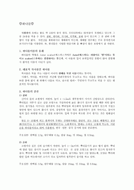 취나물에대하여-1페이지