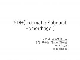 경막하출혈(SDH , Traumatic Subdural Hemorrhage )-1페이지
