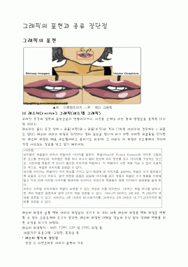 그래픽 이미지 표현 방식, 그래픽, 벡터, 래스터, 해상도, jpeg 등-1페이지