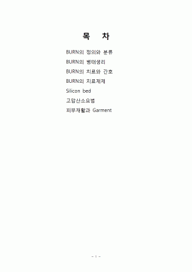 임상에서의 burn-1페이지
