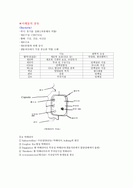 미생물 종류 레포트 자료-1페이지