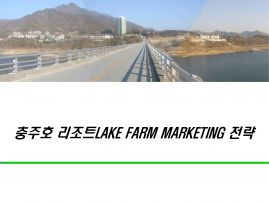 (부동산개발사업)충주호리조트마케팅사업계획서-1페이지