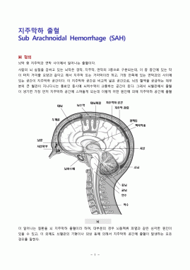 지주막하 출혈 - Sub Arachnoidal Hemorrhage (SAH)-1페이지