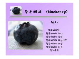블루베리의 모든것-1페이지