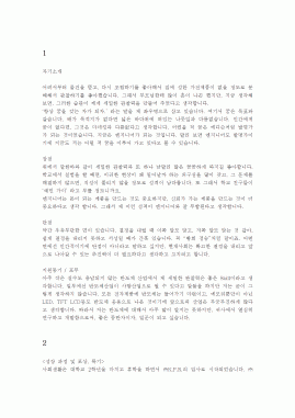 취업성공 자기소개서예문 합격-1페이지