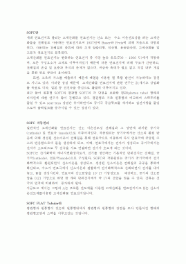 SOFC 고체산화물연료전지에 대하여-1페이지