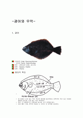 광어와 우럭 레포트 자료-1페이지