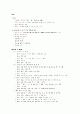 burn(화상) 레포트 자료-1페이지