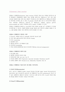 DNA합성 - 중합효소 연쇄반응(Polymerase chain reaction)-1페이지