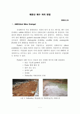폐광산 폐수처리 방법-1페이지