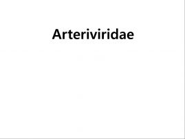 Arteriviridae 레포트 자료-1페이지