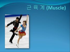 근육계(Muscle) 레포트 자료-1페이지