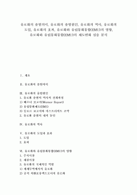 [유로화][유럽통화통합][EMU][EU]유로화의 출범의미, 유로화의 출범원인, 유로화의 역사, 유로화의 도입, 유로화의 효과, 유로화와 유럽통화통합(EMU)의 영향, 유로화와 유럽통화통합(EMU)의 제도변화 심층 분석-1페이지