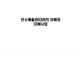 탄소배출권(CER)의 이해와 CDM사업-1페이지