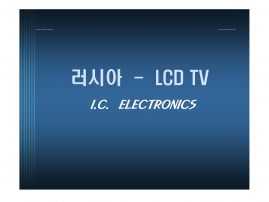 러시아 LCD판매 사업계획서-1페이지