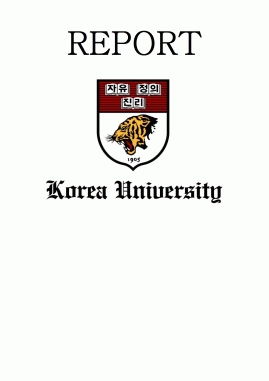 취업계획서 레포트 자료-1페이지