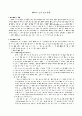 난자와 정자 형성과정-1페이지