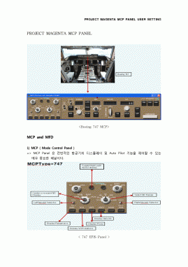 MCP에 대해서 레포트 자료-1페이지