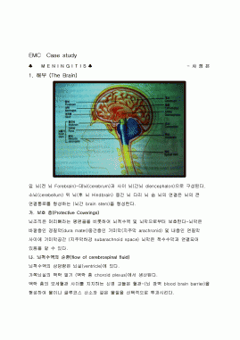 뇌수막염 질환 스터디-한글판-1페이지