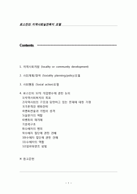 로스만의 지역사회실천복지 모델-1페이지