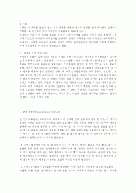 피아제의 인지발달이론에 대해 정리하고 그것에 대한 의견을 서술하시오-1페이지