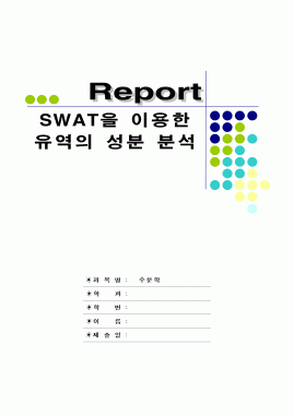 swat을 이용한 유역 분석-1페이지