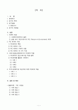PIE 체계 이론 및 대상자 적용사례에 관한 연구 보고서 - 이론적 배경, PIE 체계의 개요, 적용-1페이지