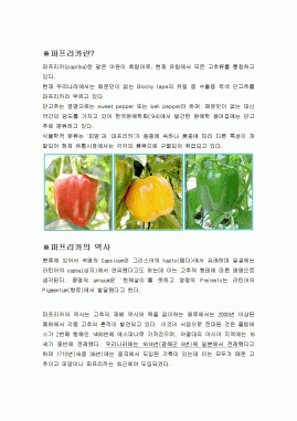 과채류의 보석 파프리카-1페이지