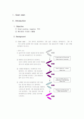 그람염색법, 현미경 사용법-1페이지