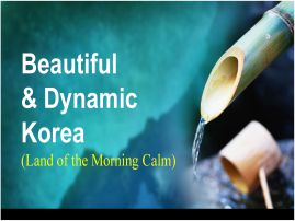 Dynamic Korea 레포트 자료-1페이지