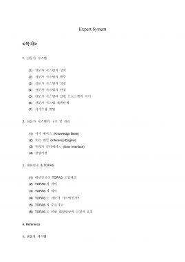 (Expert System) 전문가 시스템-1페이지