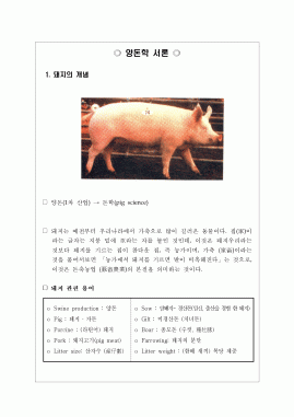 양돈학 서론 레포트 자료-1페이지