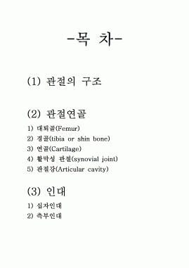 슬관절레포트-1페이지