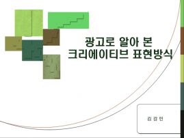 광고로 알아 본 크레이에티브 표현방식-1페이지