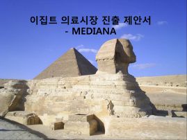 의료기산업 해외진출 stp 4p 마케팅전략 -1페이지