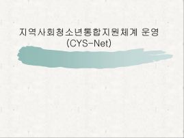 지역사회청소년통합지원체계 운영(CYS-Net)-1페이지