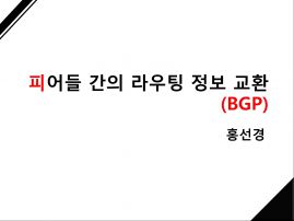 피어들 간의 라우팅 정보 교환 (과잉홉,트래픽 모니터...)-1페이지