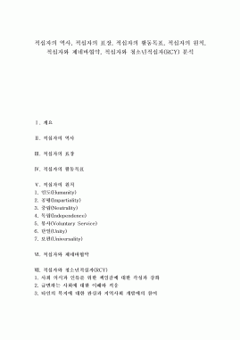 [적십자][적십자 표장][적십자 활동][제네바협약][청소년적십자][RCY]적십자의 역사, 적십자의 표장, 적십자의 활동목표, 적십자의 원칙, 적십자와 제네바협약, 적십자와 청소년적십자(RCY) 분석-1페이지