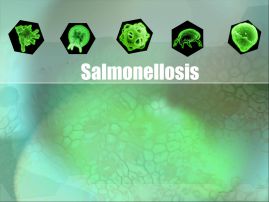 살모넬라 감염증(salmonellosis)에 관한 팀프로젝트(특A급+Case 포함) 절대 후회하지 않습니다-1페이지