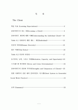 the client 레포트 자료-1페이지