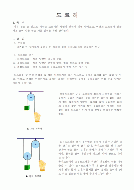 물리학실험 ; 도르래실험-1페이지