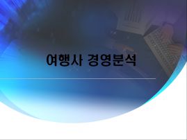 여행사 경영분석-1페이지