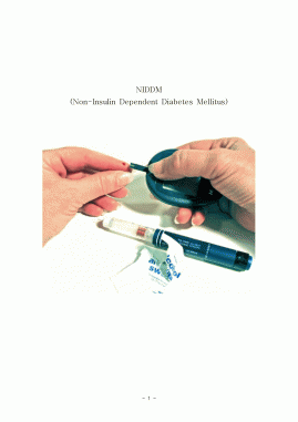 당뇨 NIDDM (Non-Insulin Dependent Diabetes Mellitus)-1페이지
