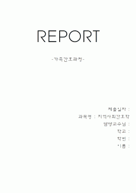 가족간호과정 (omaha 분류체계 이용)-1페이지