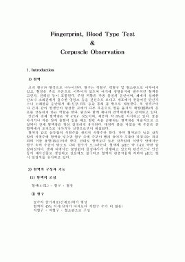 fingerprinter 레포트 자료-1페이지