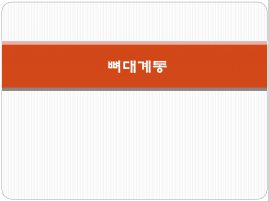 뼈대계통 총론-1페이지