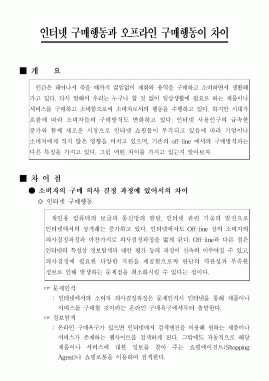 인터넷구매행동과오프라인구매행동이차이-1페이지